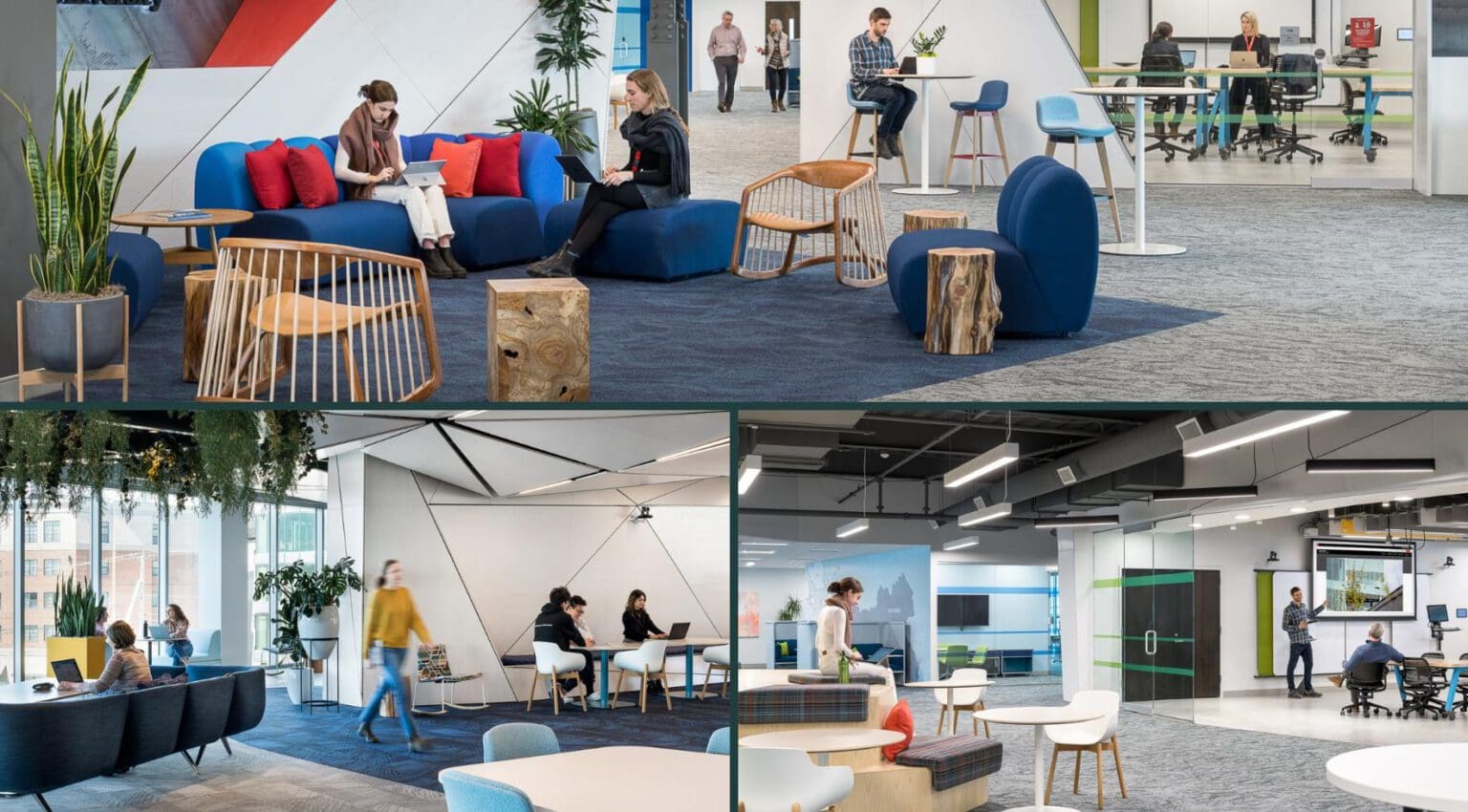 Centering Wellbeing in Campus Spaces: Linking Learning & Growth - Red ...